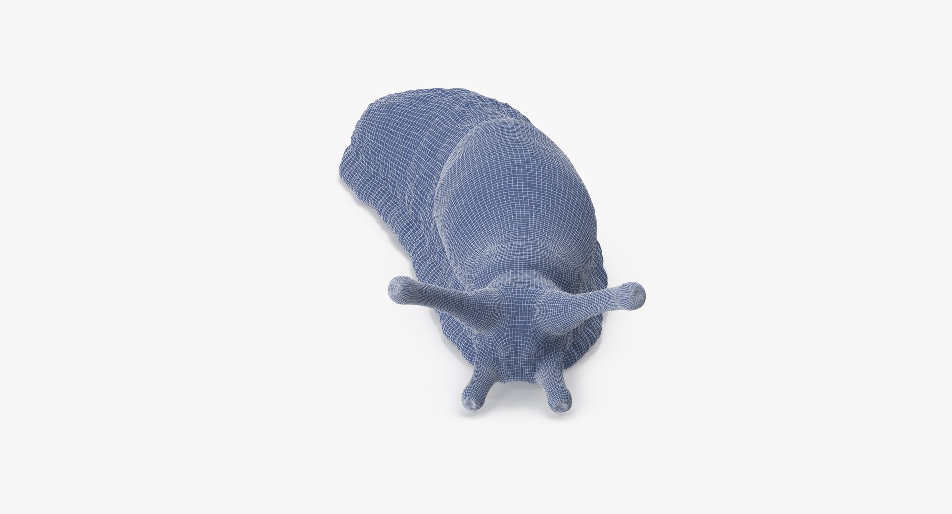slug 01 3d model