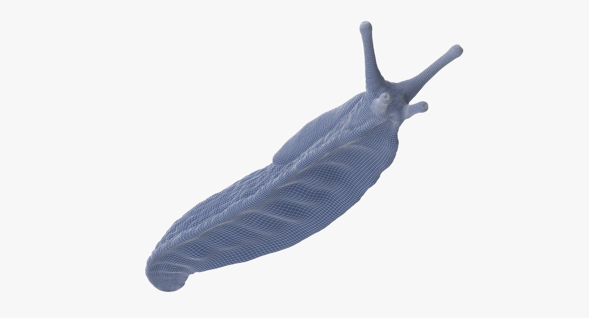 slug 01 3d model