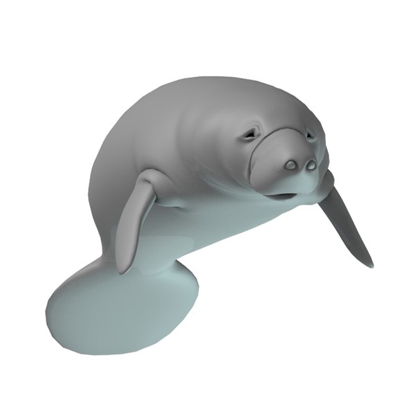 modelo 3d Manatí - TurboSquid 584328