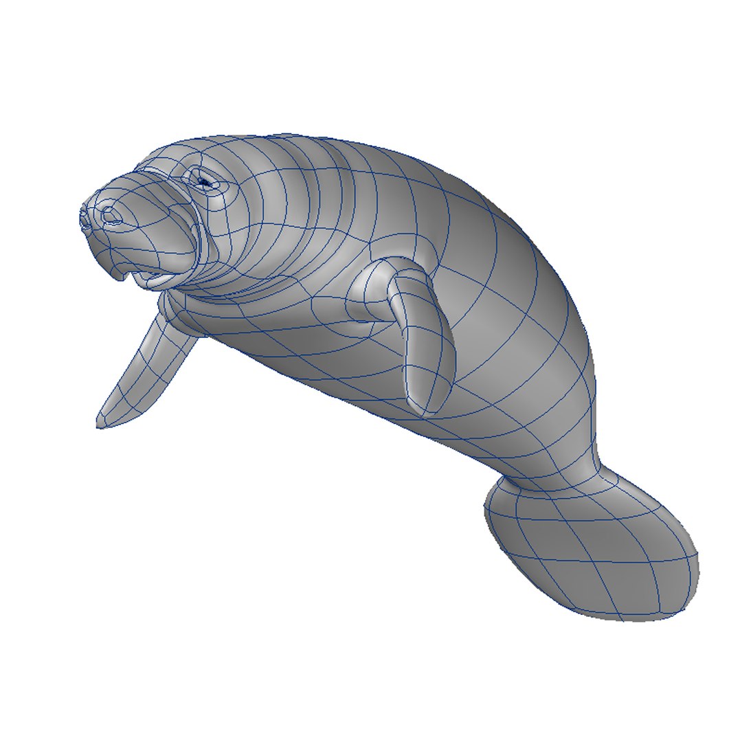 Manatee Stellar Sea 3d Dxf