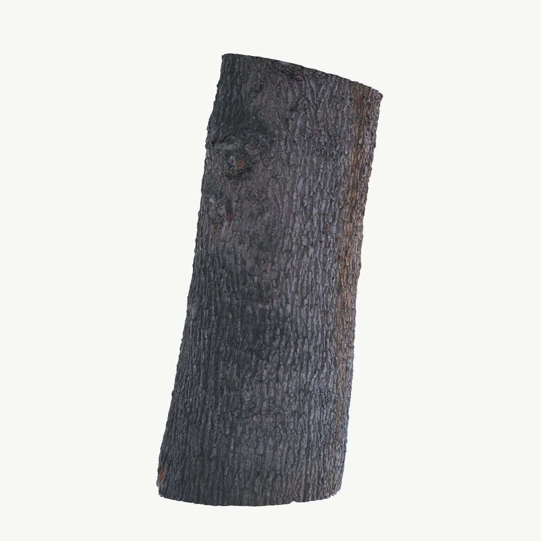 High Quality Scan Ash Tree Trunk - 3 3D Model - TurboSquid 2207975
