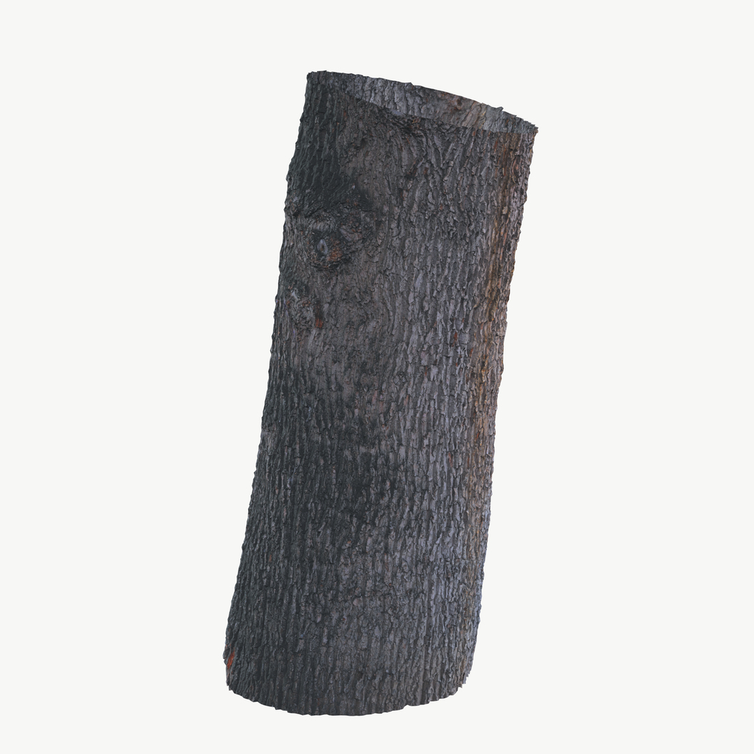 High Quality Scan Ash Tree Trunk - 3 3D Model - TurboSquid 2207975