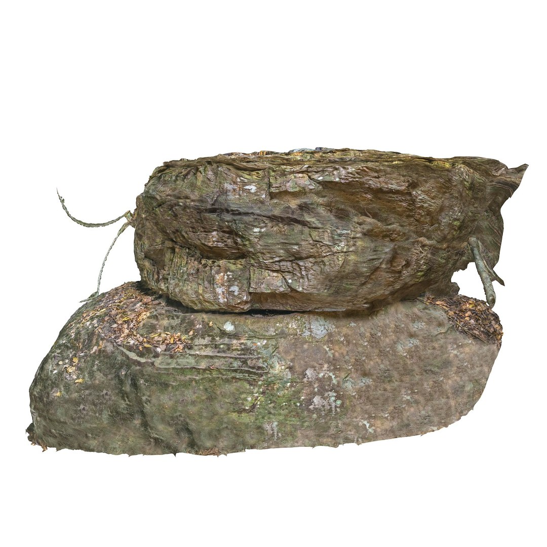 Jungle Rock 8k 3d Model