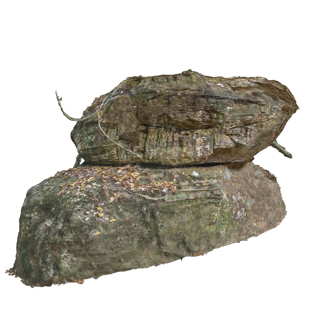 Jungle Rock 8k 3d Model