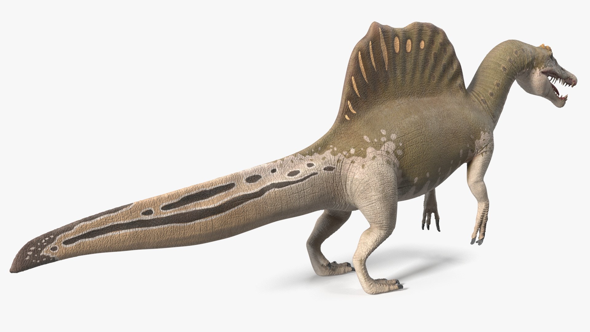 Spinosaurus Aegyptiacus Yellow Basic Pose 3D - TurboSquid 2267796