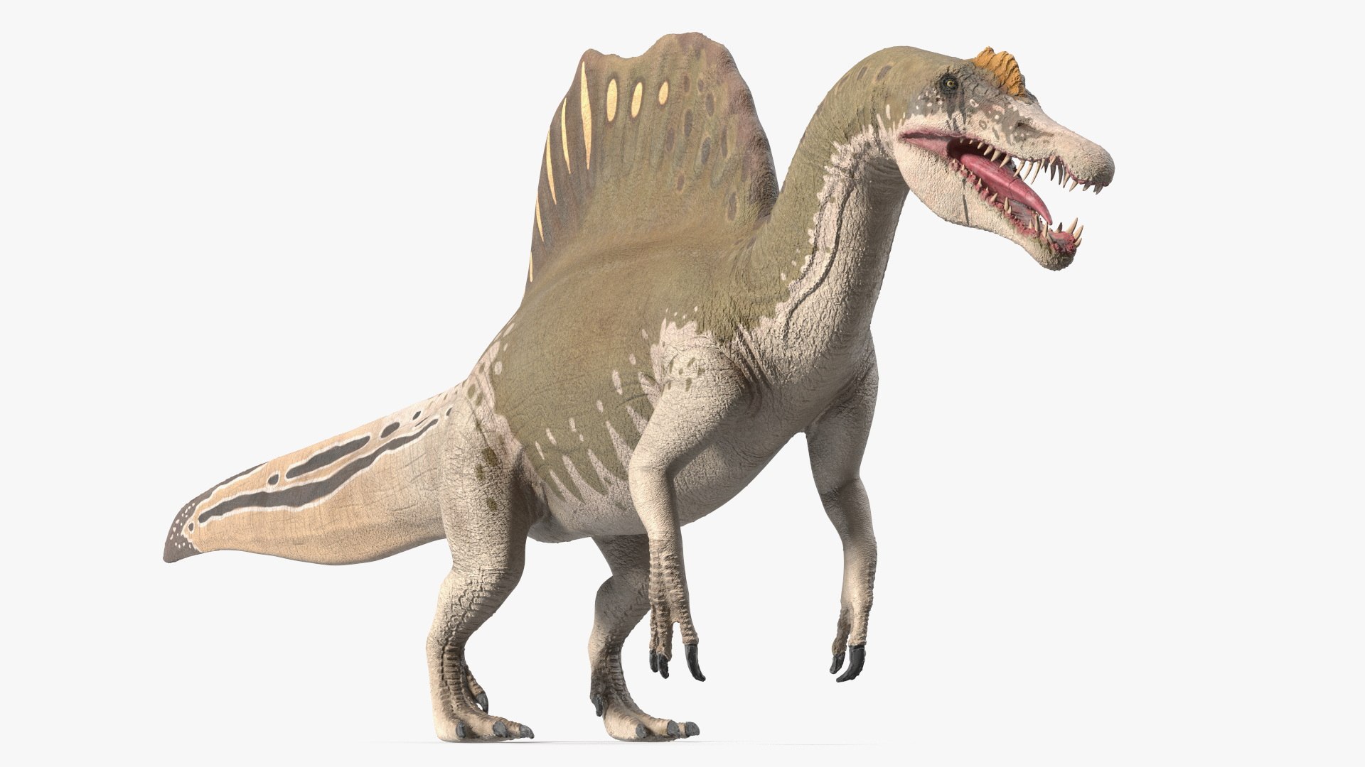 Spinosaurus Aegyptiacus Yellow Basic Pose 3D - TurboSquid 2267796