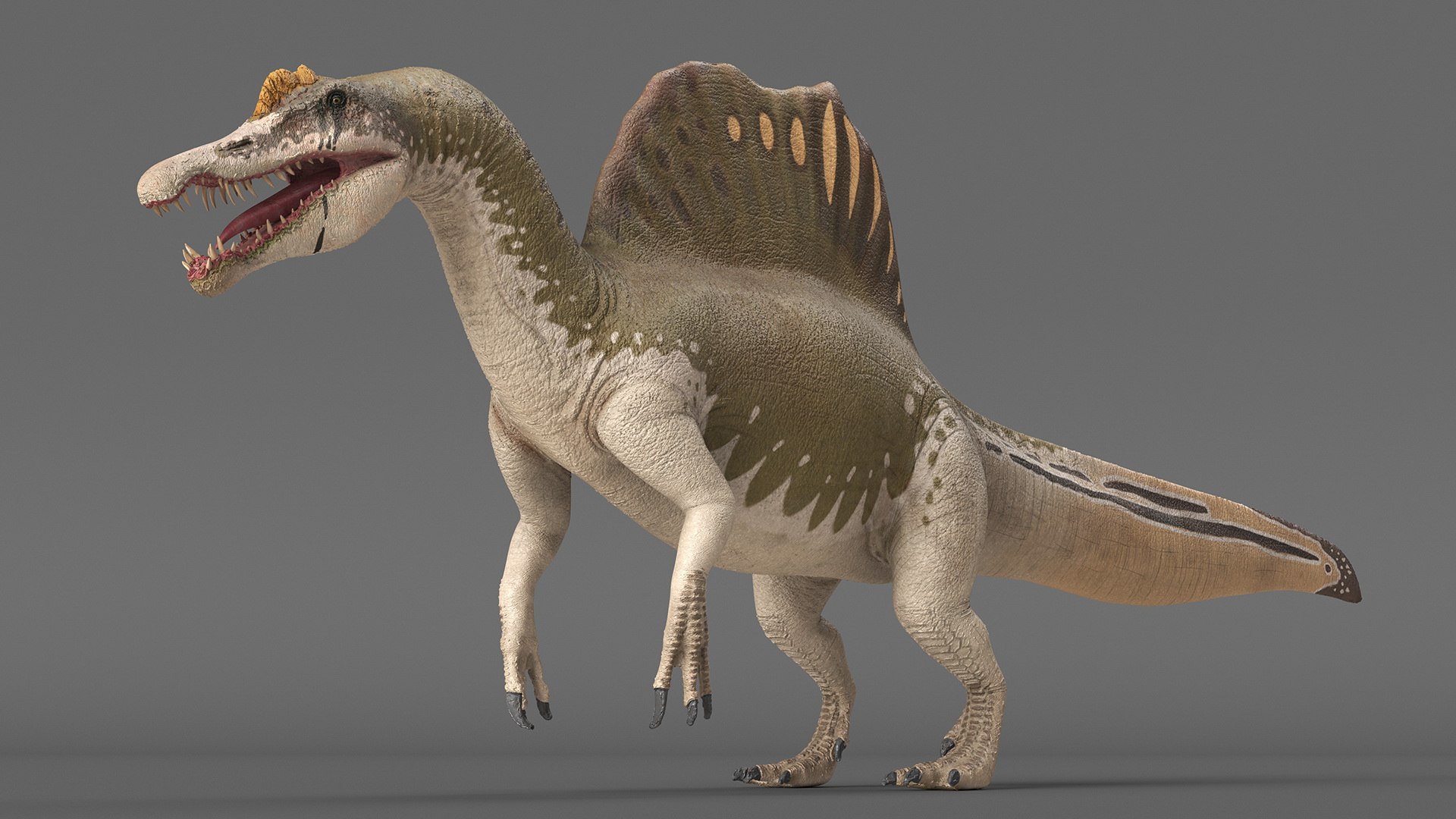Spinosaurus Aegyptiacus Yellow Basic Pose 3D - TurboSquid 2267796