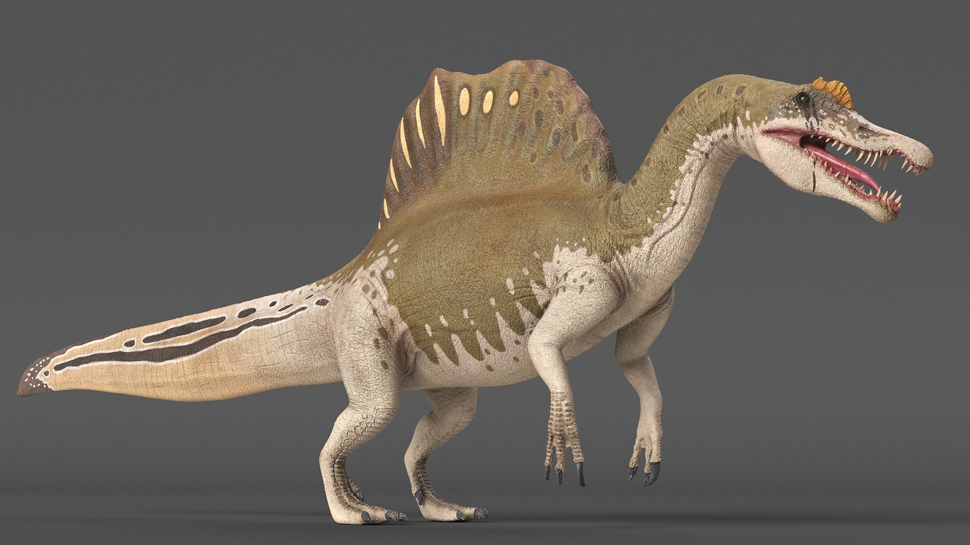 Spinosaurus Aegyptiacus Yellow Basic Pose 3D - TurboSquid 2267796