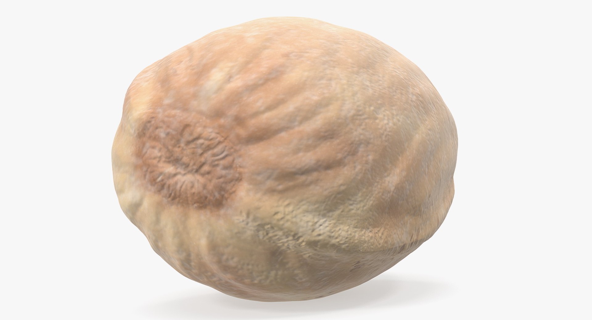 3D Nuts 3 Model - TurboSquid 1459880