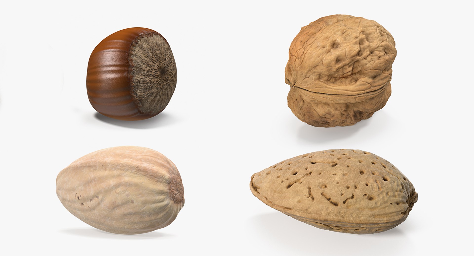 3D Nuts 3 Model - TurboSquid 1459880