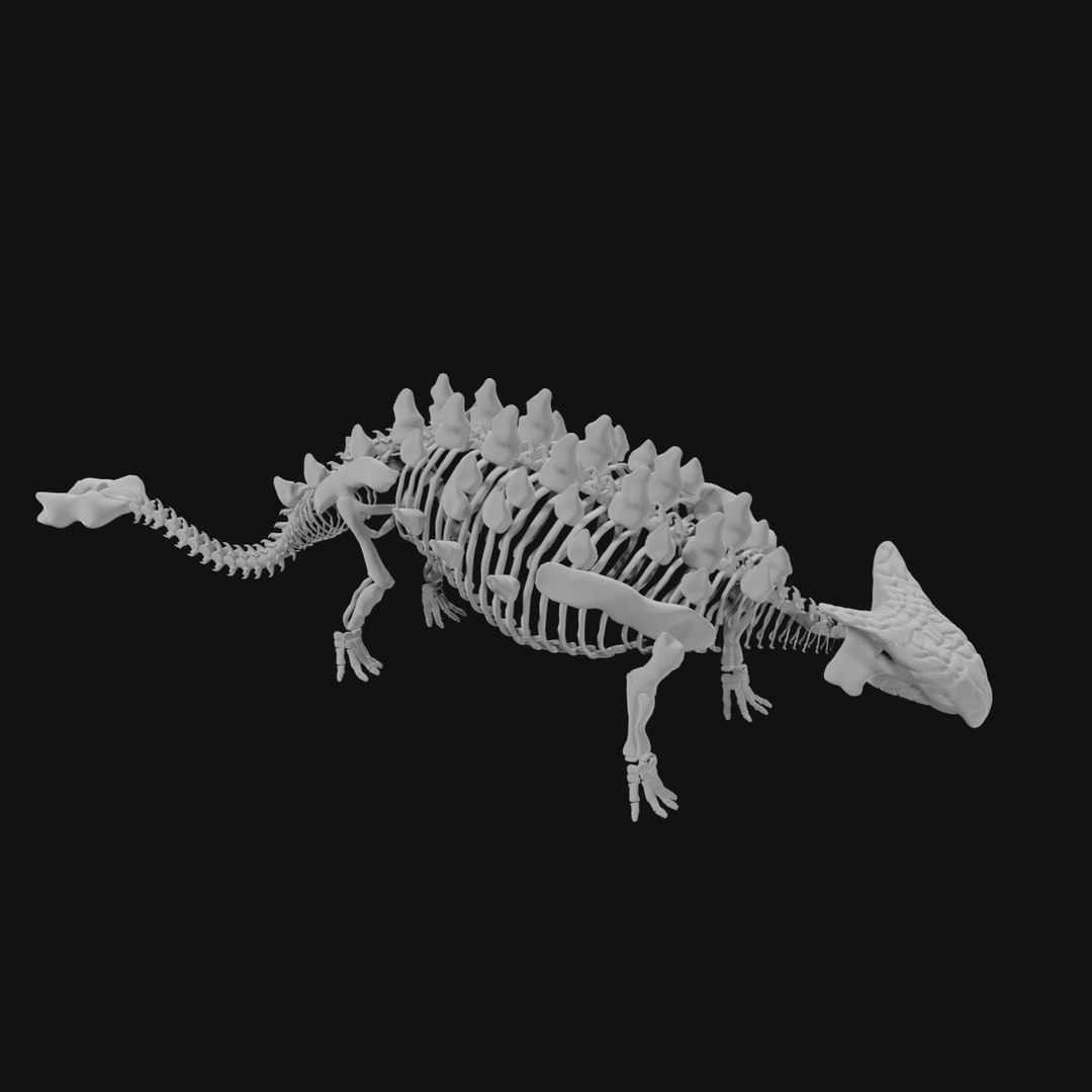 Ankylosaurus-Skelett 3D-Modell - TurboSquid 1969527