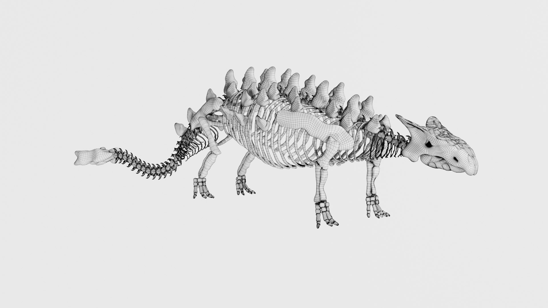 3D Model Ankylosaurus Skeleton - TurboSquid 1969527