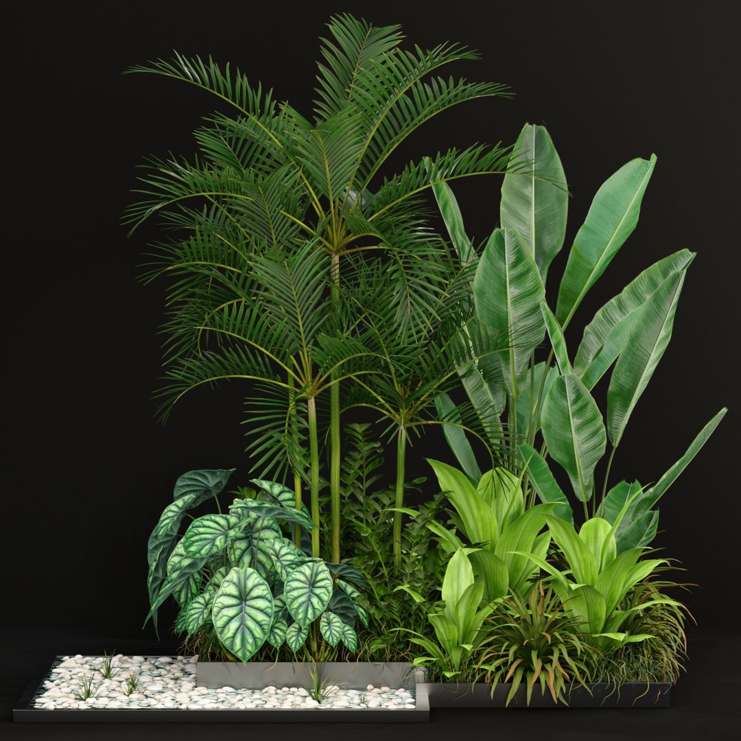 3D plants 198 model - TurboSquid 1470785