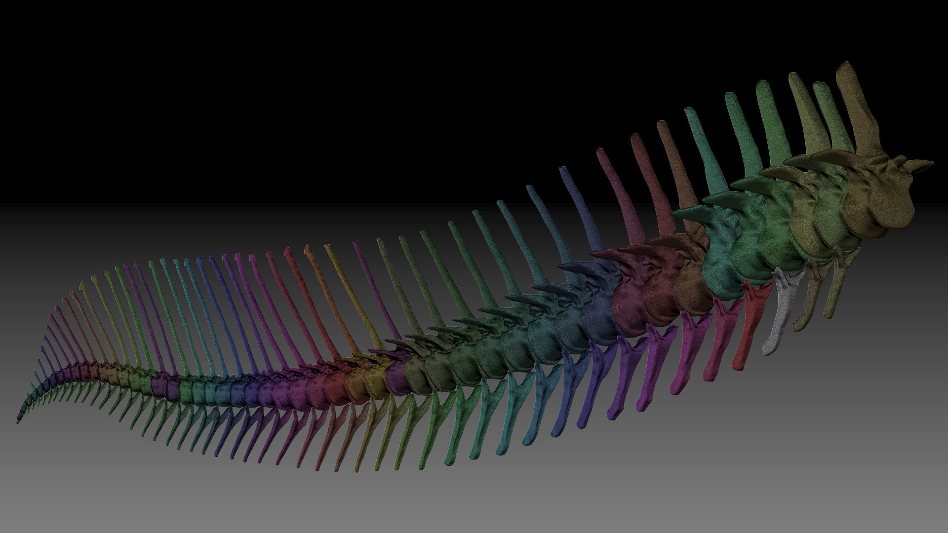 Spinosaurus 2020 Version Tail Set Skeletons Sculpt Project 3D Model ...