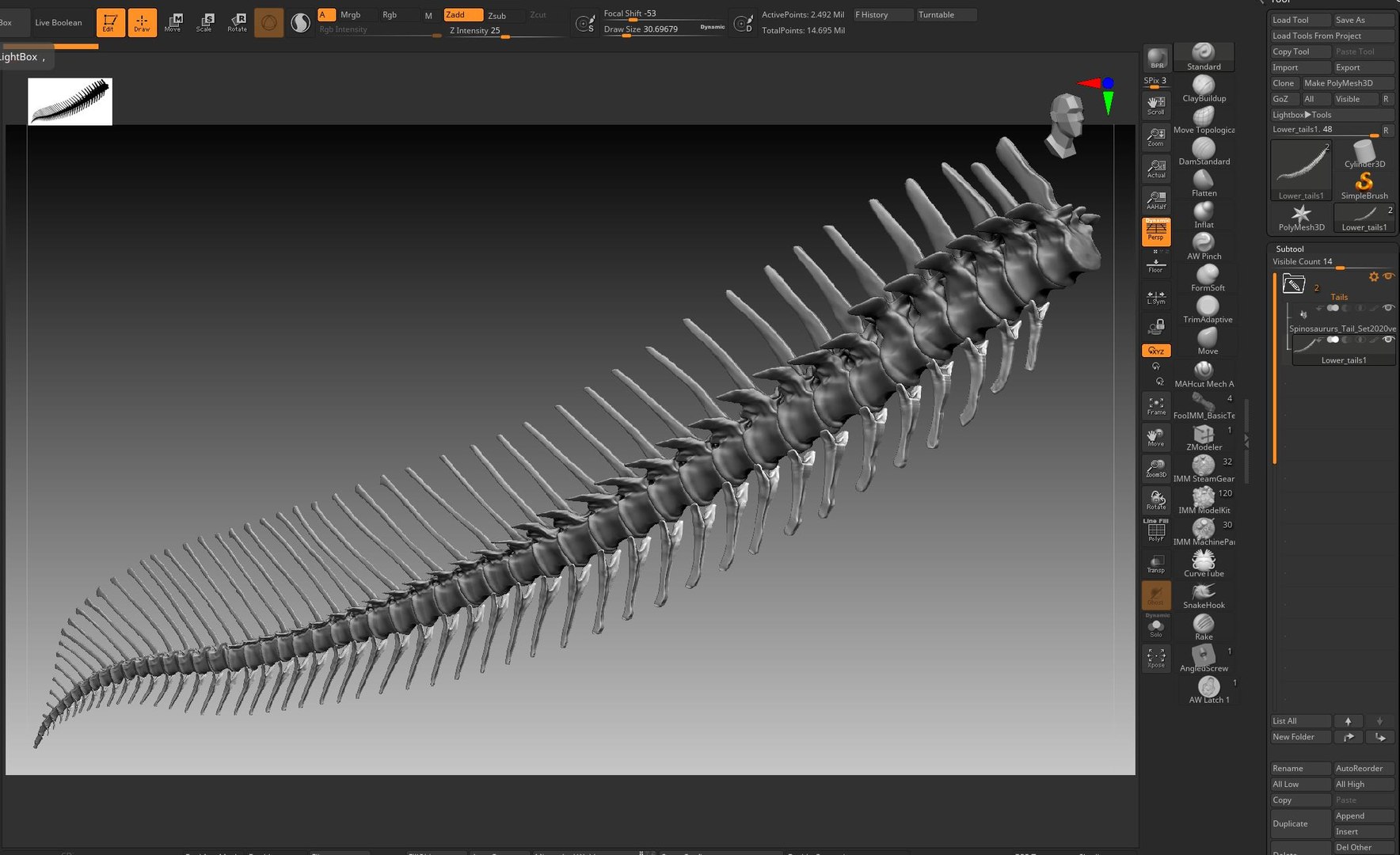 Spinosaurus 2020 Version Tail Set Skeletons Sculpt Project 3D Model ...