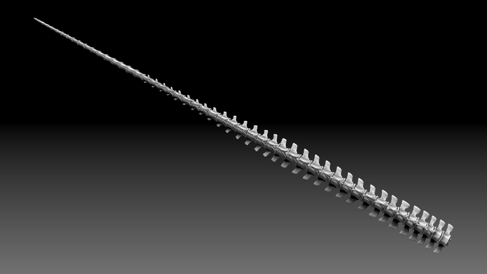 Spinosaurus 2020 Version Tail Set Skeletons Sculpt Project 3D Model ...