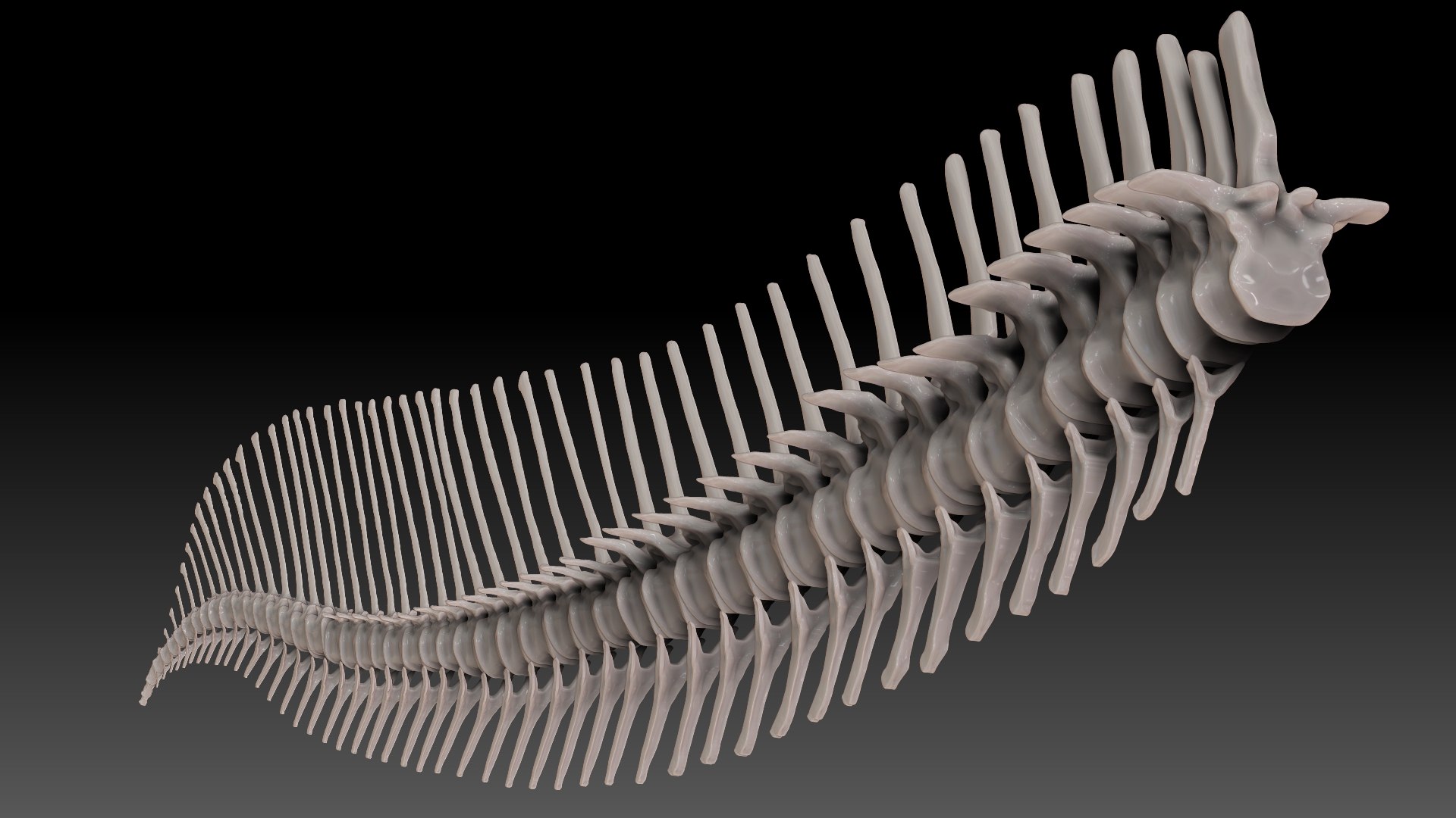 Spinosaurus 2020 Version Tail Set Skeletons Sculpt Project 3D Model ...