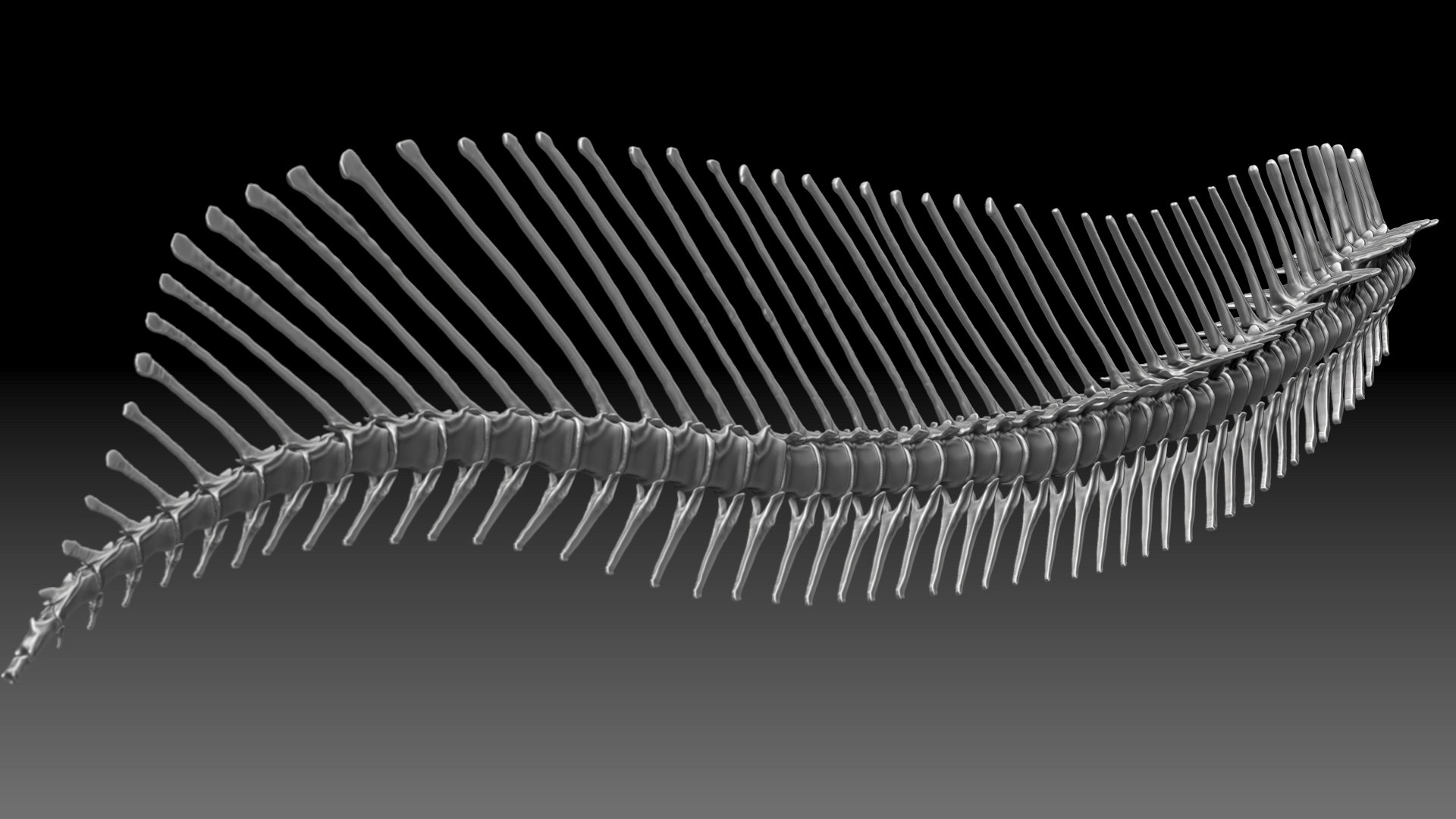 Spinosaurus 2020 Version Tail Set Skeletons Sculpt Project 3D Model ...