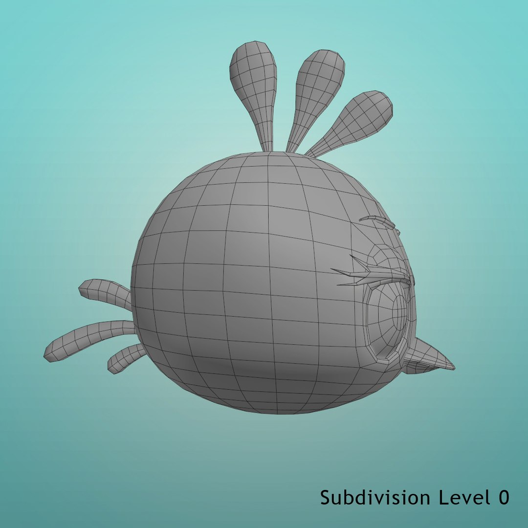 3d Stella Birds Animations