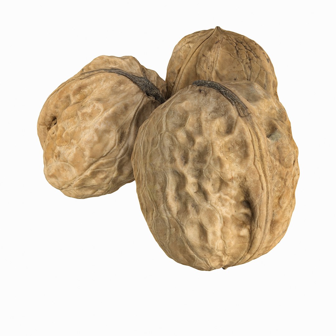 Walnut Scan 3d 3ds