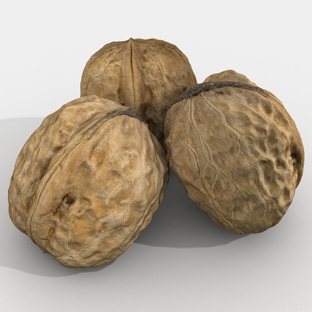 Walnut Scan 3d 3ds