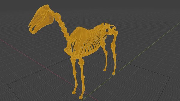 3D model Horse Skeletal structure - TurboSquid 1785079