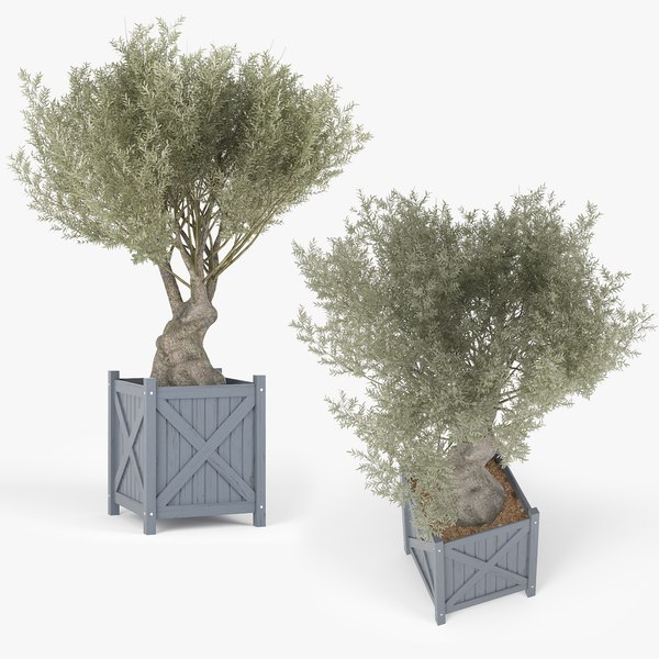 3D Oleander Models | TurboSquid
