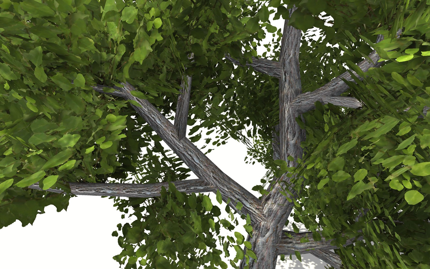 Realistic Tree Forest 3D Model - TurboSquid 1517321