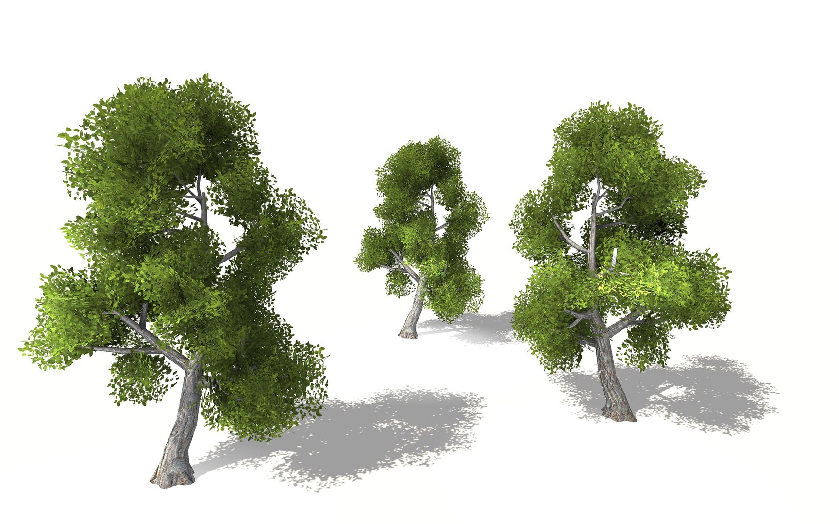 Realistic Tree Forest 3D Model - TurboSquid 1517321