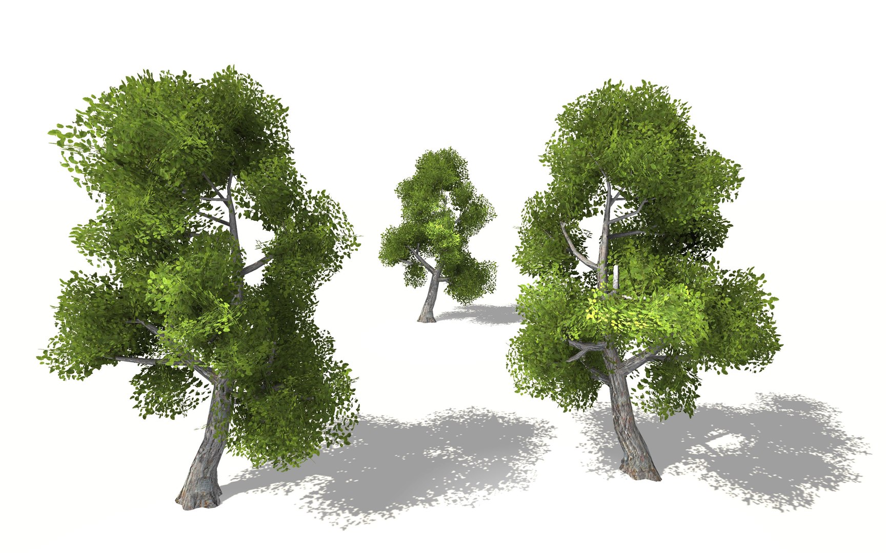 Realistic Tree Forest 3D Model - TurboSquid 1517321
