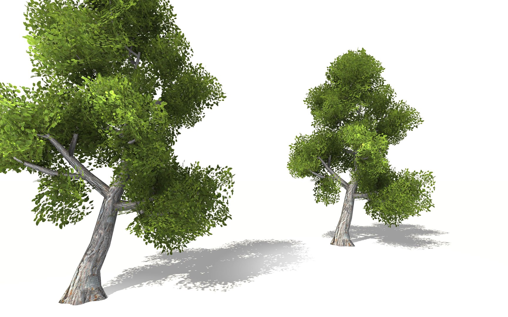 Realistic Tree Forest 3D Model - TurboSquid 1517321