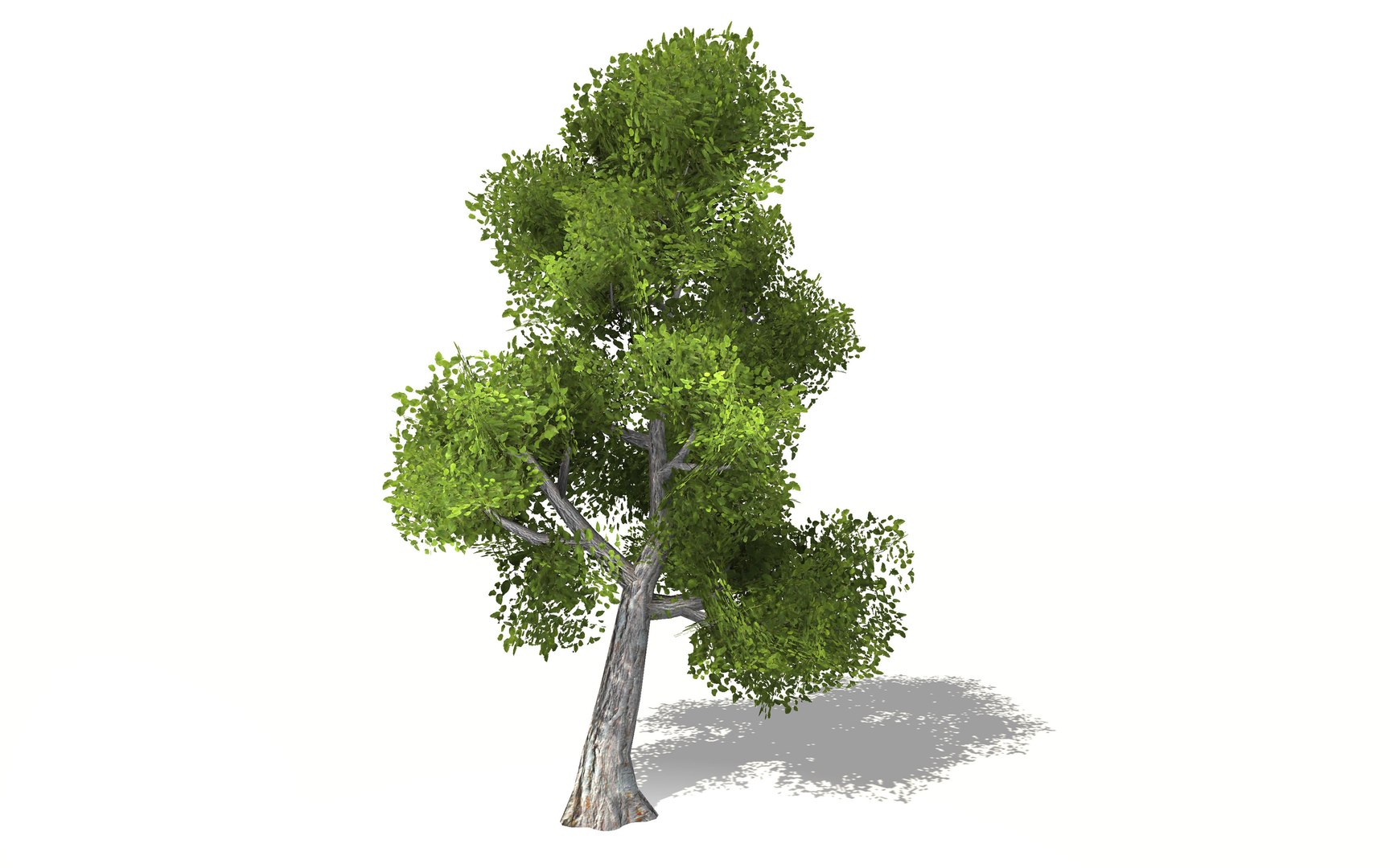 Realistic Tree Forest 3D Model - TurboSquid 1517321