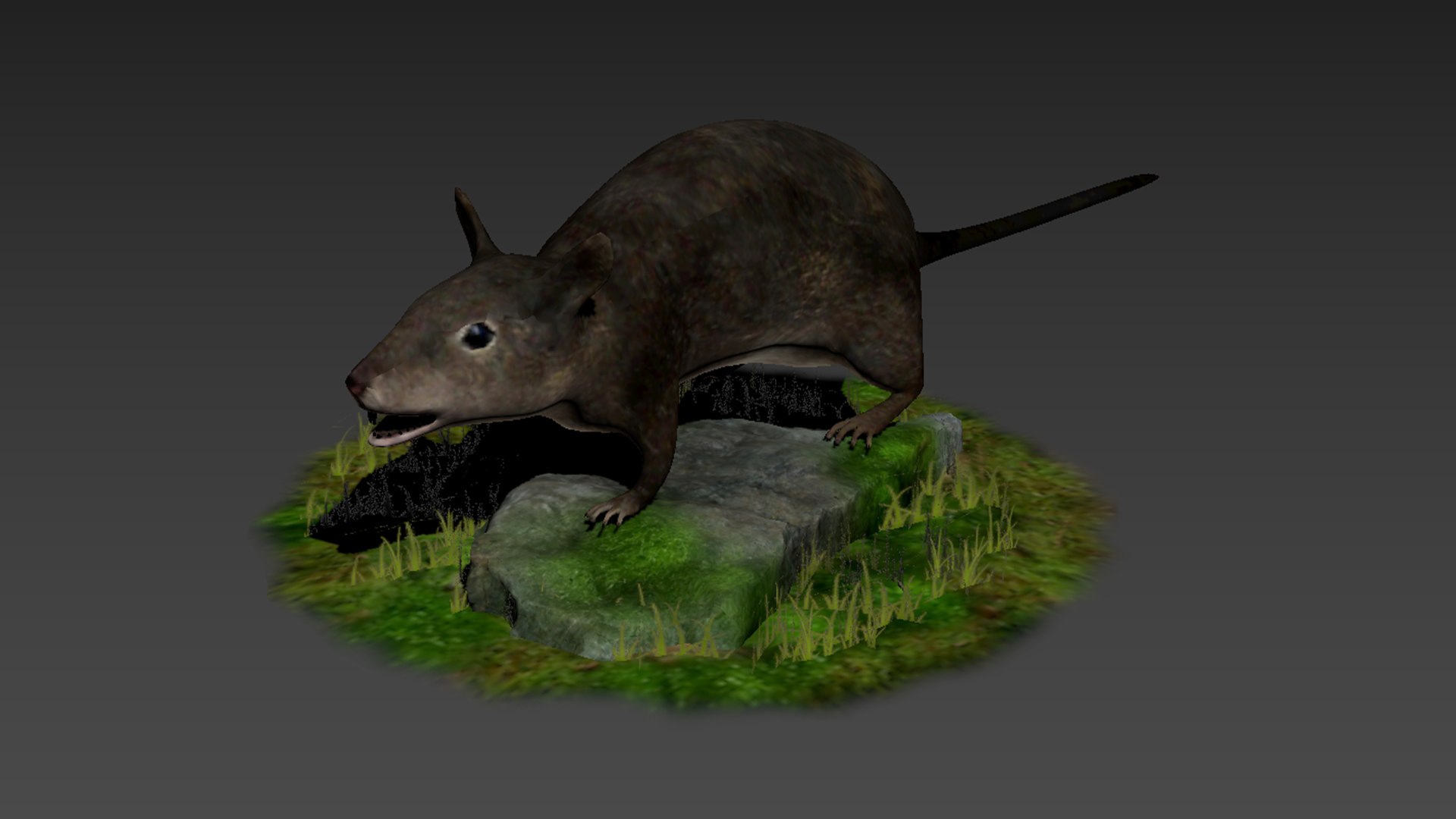 Rats Rat Roddents Mammals Animal Mouse Cute Pet Fur Lab 3D - TurboSquid ...