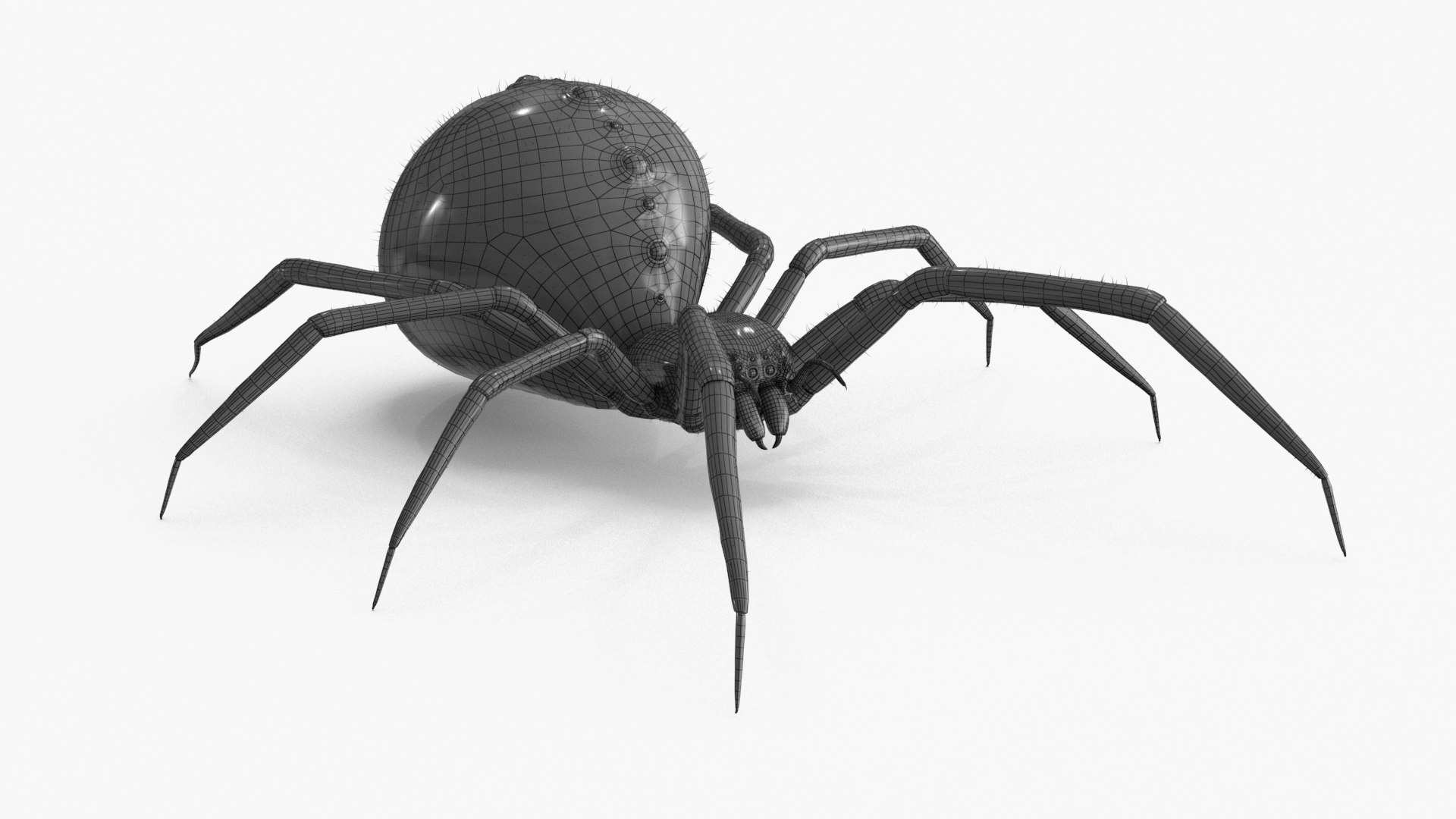 Spider 3 Poses 3D - TurboSquid 2149393