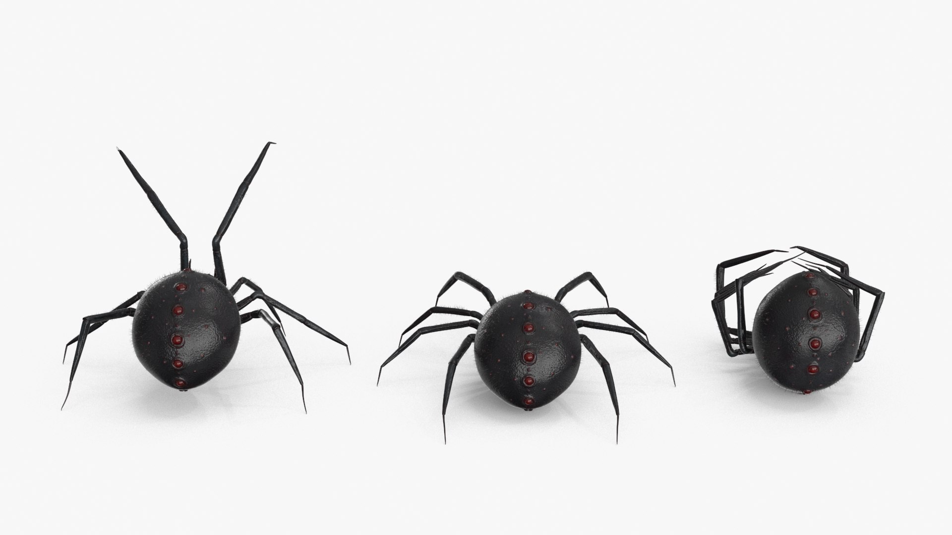 Spider 3 Poses 3D - TurboSquid 2149393