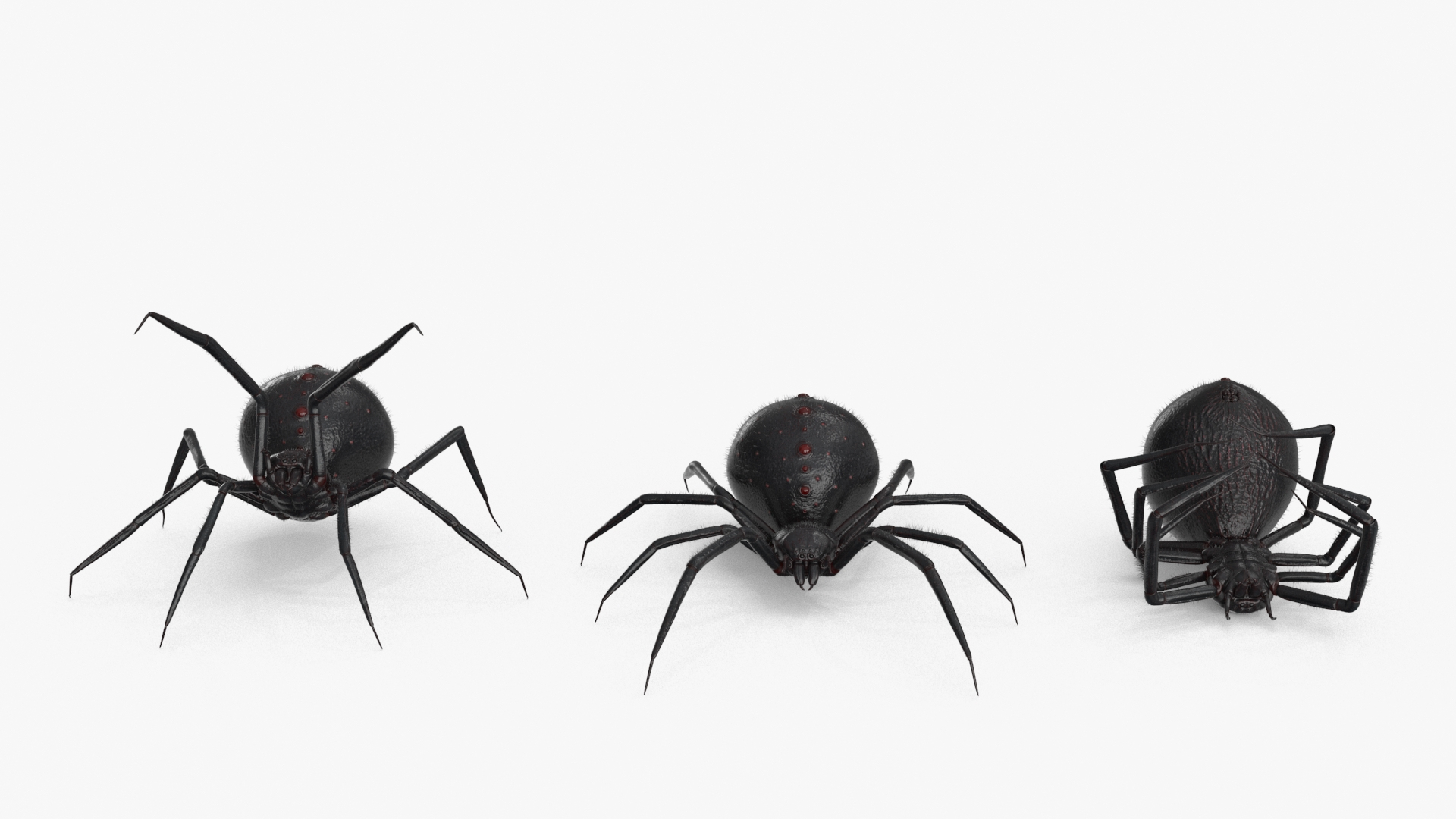 Spider 3 Poses 3D - TurboSquid 2149393