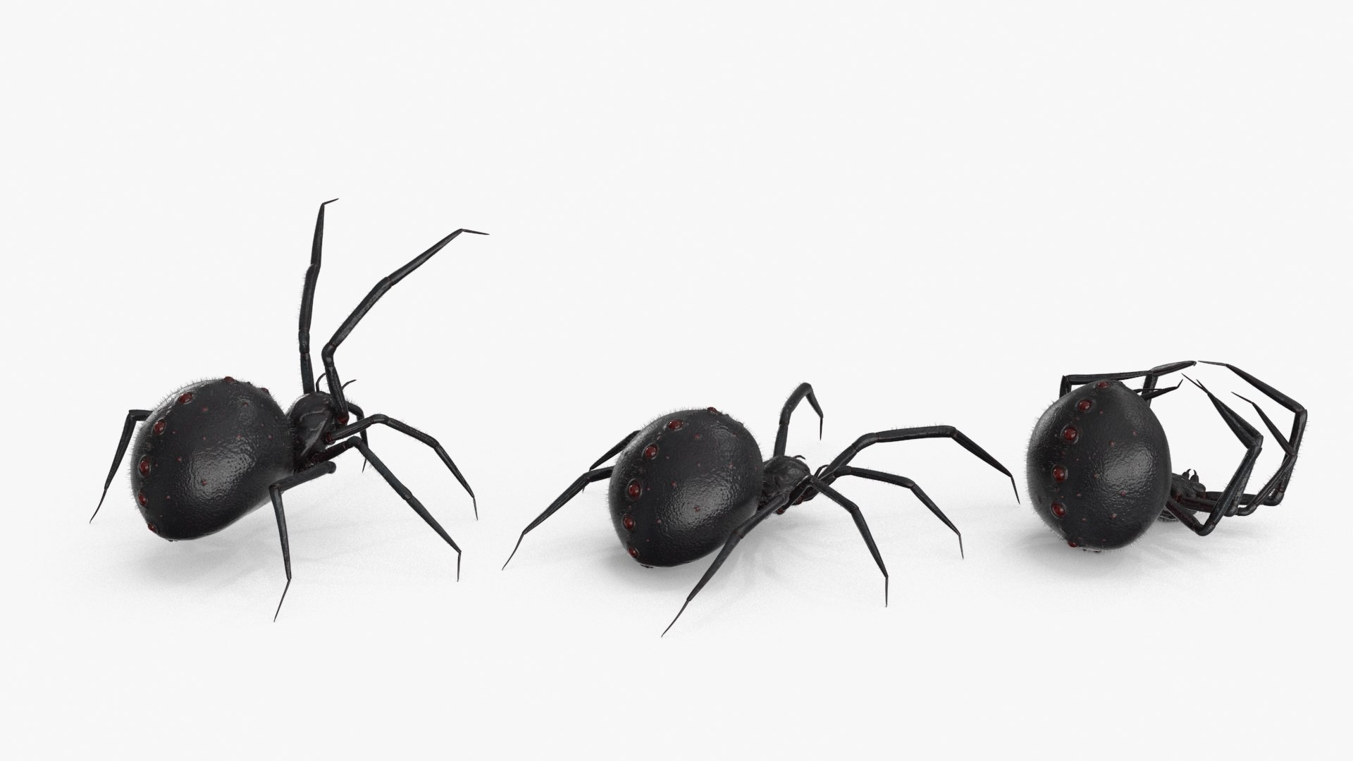 Spider 3 Poses 3D - TurboSquid 2149393