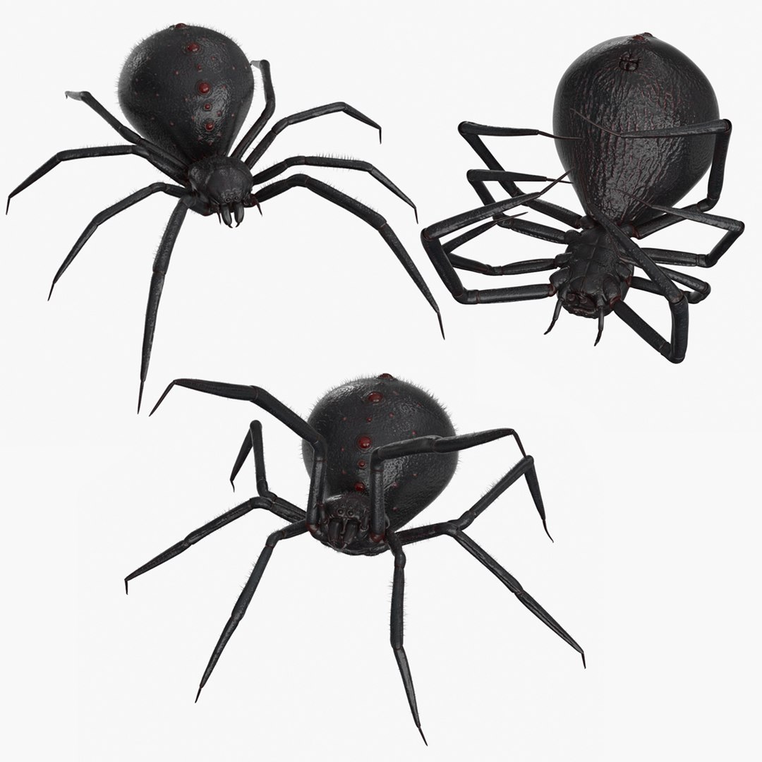Spider 3 Poses 3D - TurboSquid 2149393