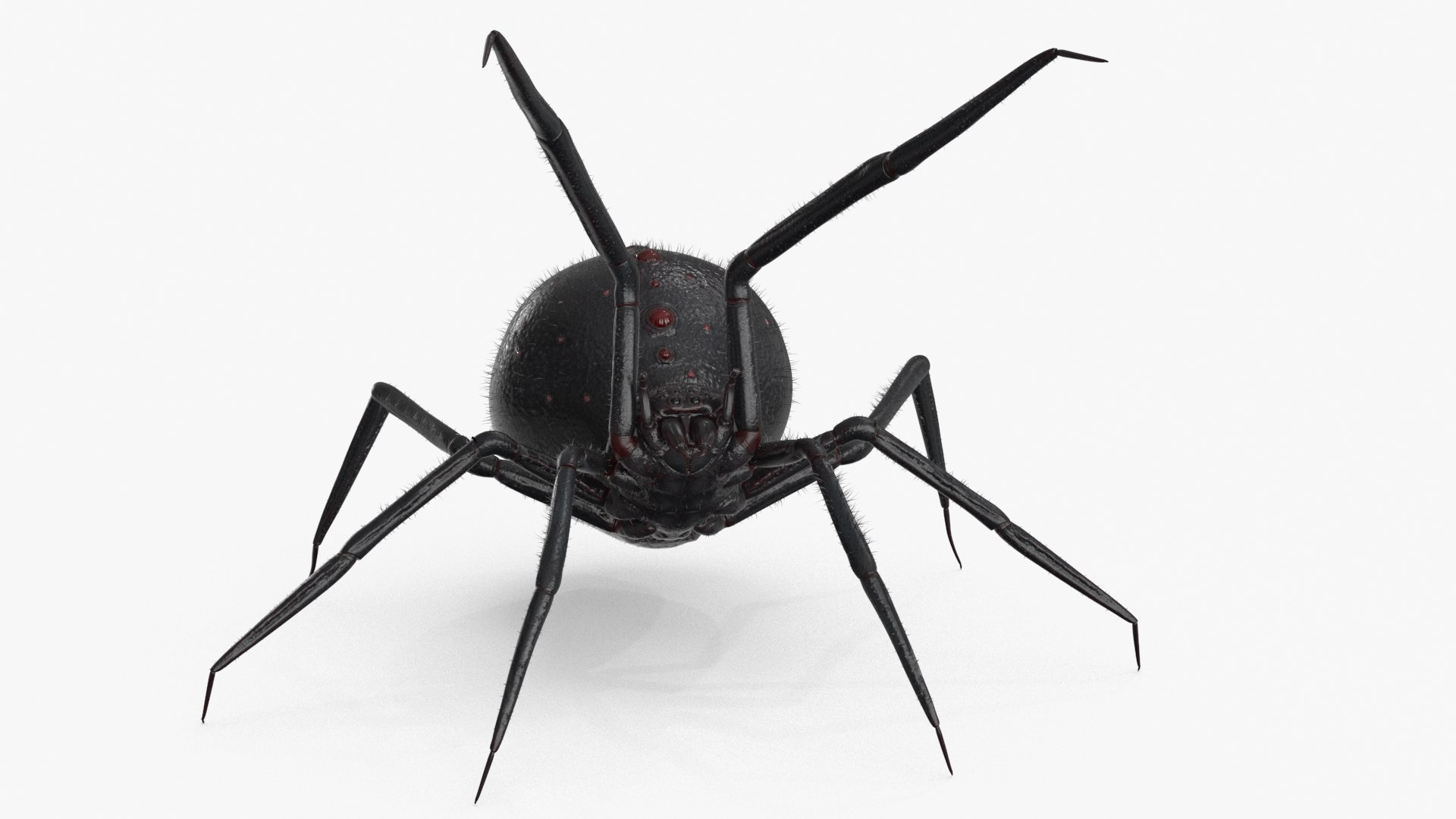 Spider 3 Poses 3D - TurboSquid 2149393