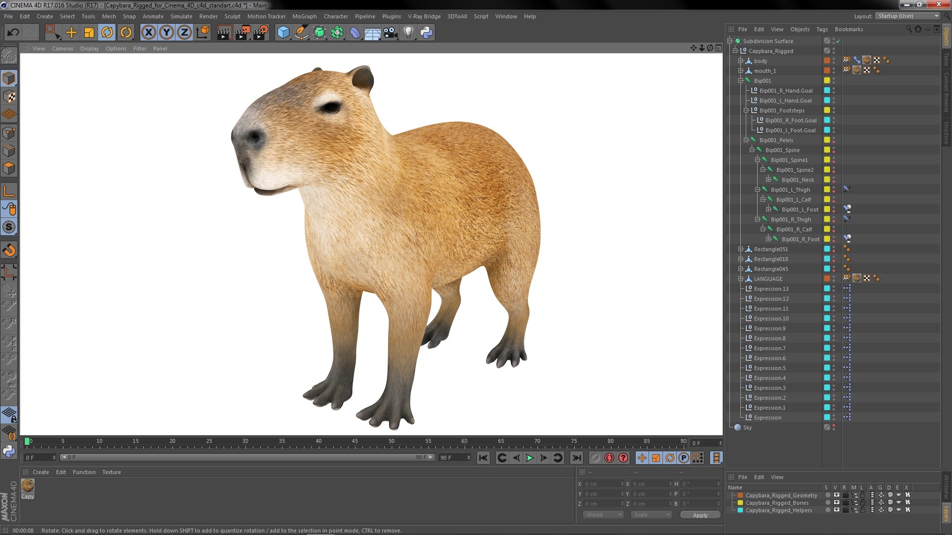 3D Capybara Rigged for Cinema 4D - TurboSquid 1958262