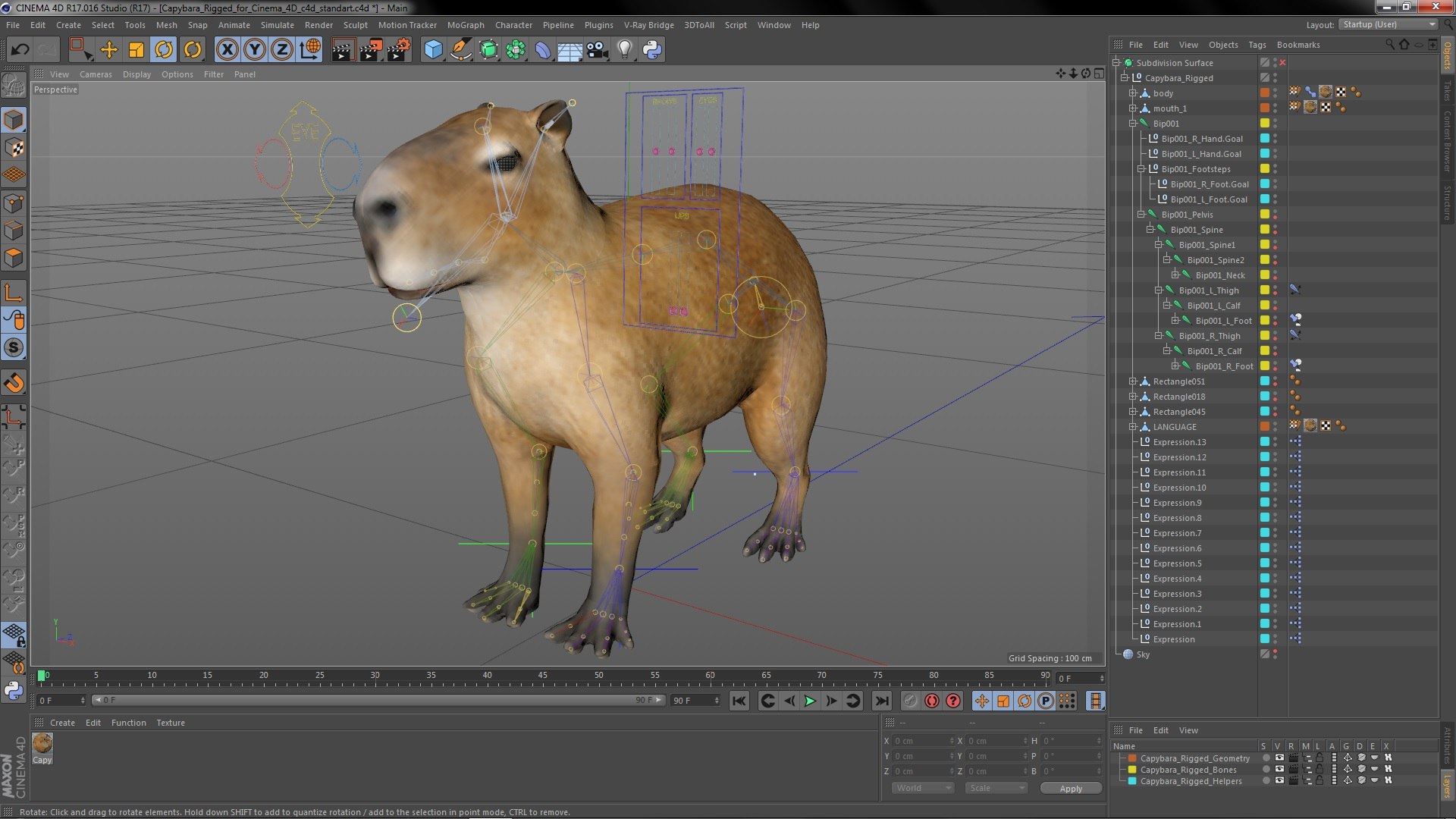 3D Capybara Rigged for Cinema 4D - TurboSquid 1958262