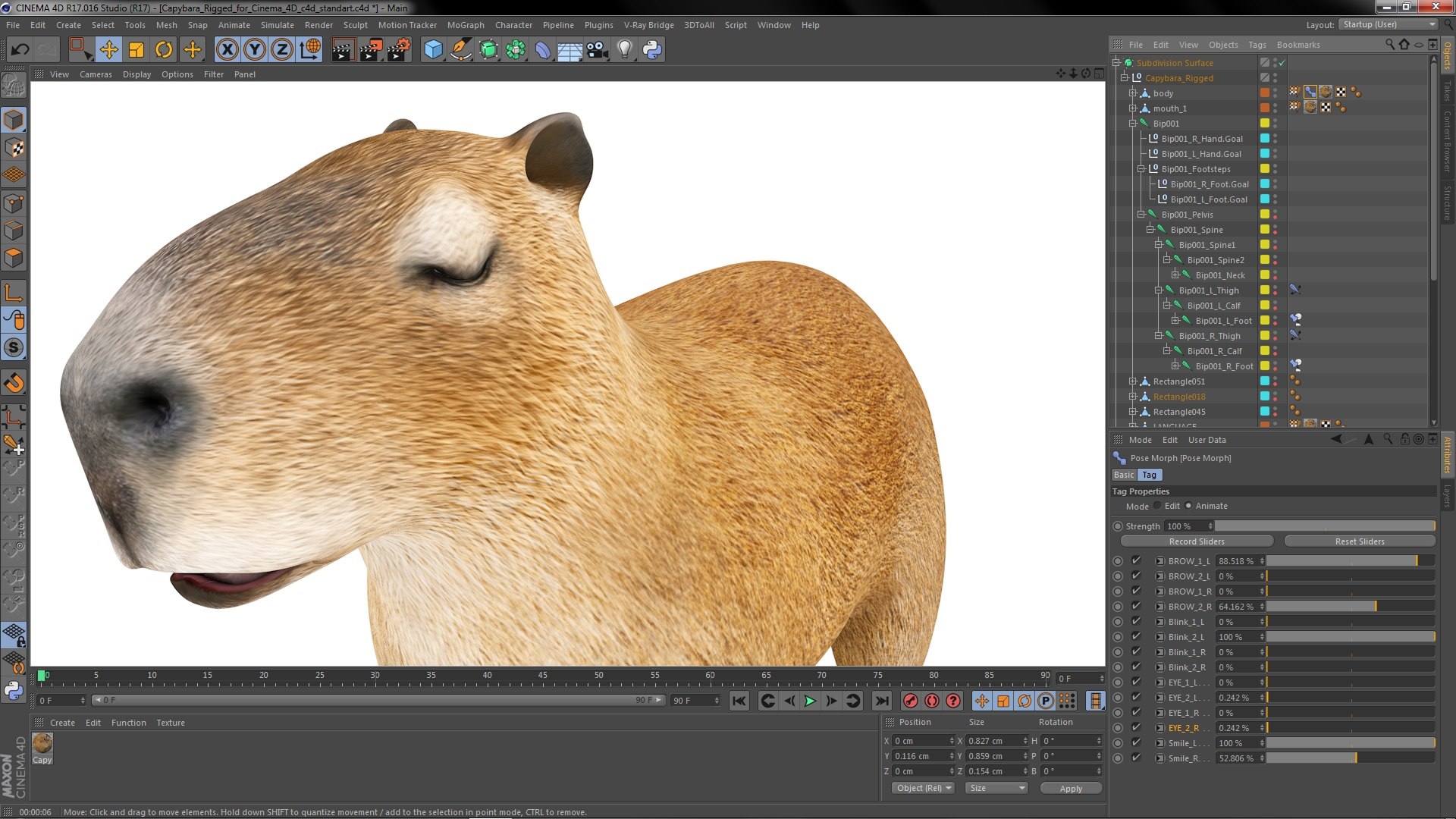 3D Capybara Rigged for Cinema 4D - TurboSquid 1958262