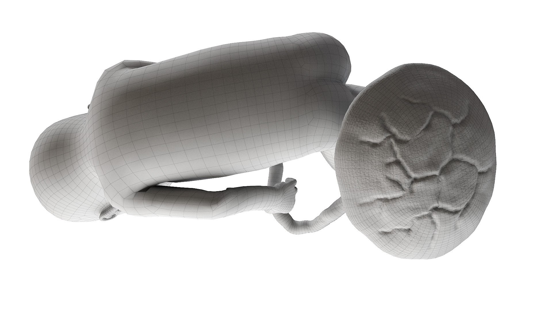 Fetus Week 20 Static 3D Model - TurboSquid 1873095