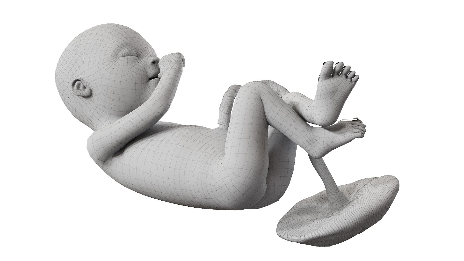 Fetus Week 20 Static 3D Model - TurboSquid 1873095