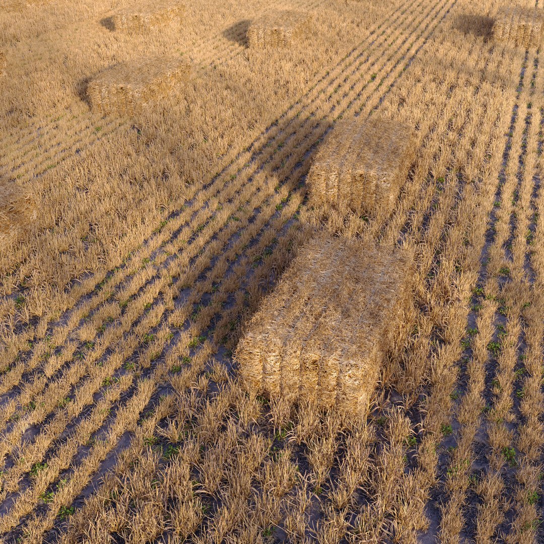 3D Farm Field With Hay Bale 2 - TurboSquid 1958783