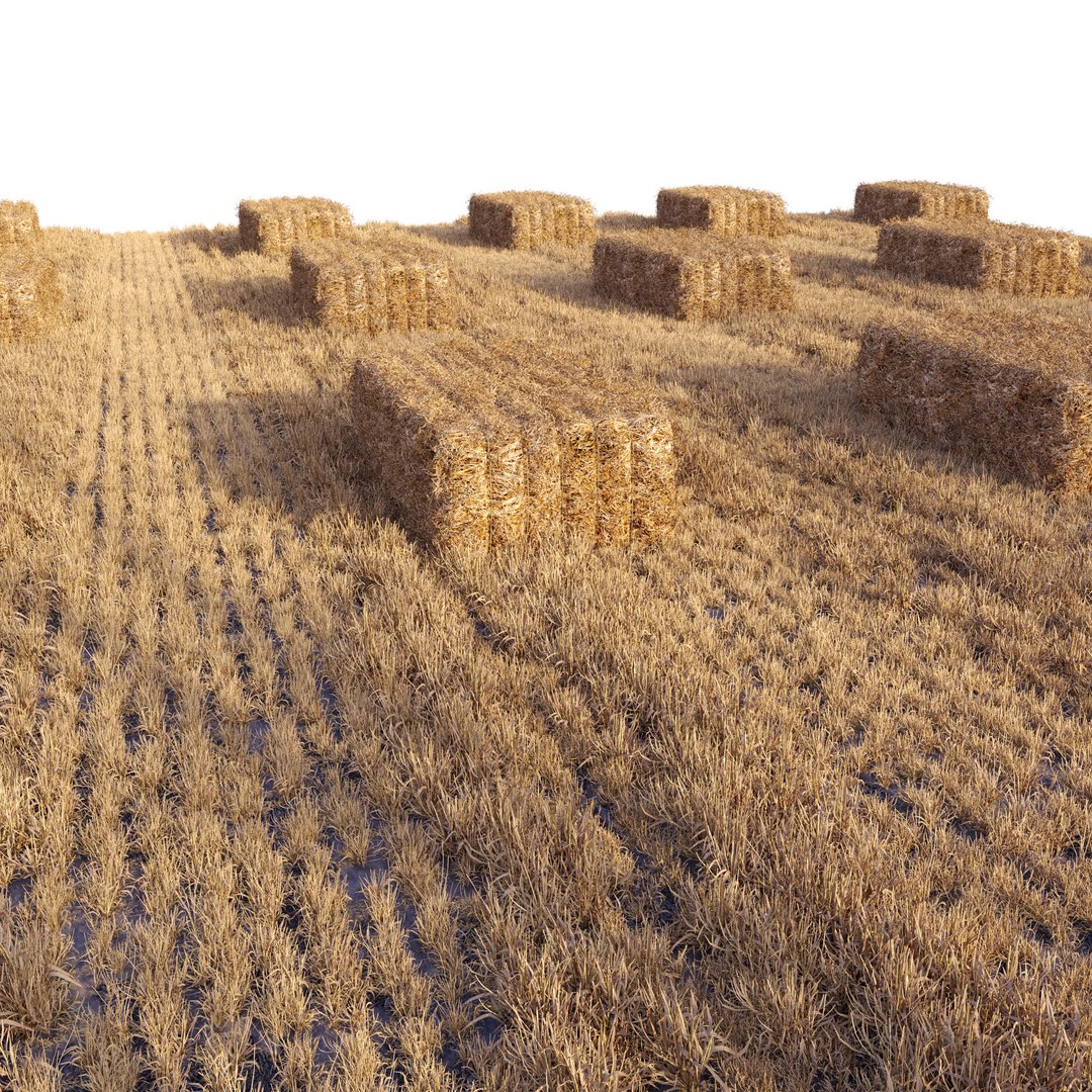 3D Farm Field With Hay Bale 2 - TurboSquid 1958783