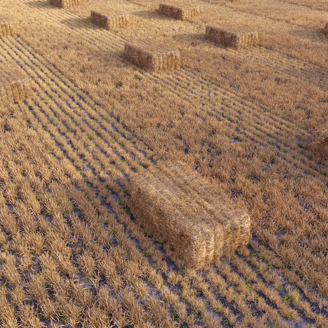 3D Farm Field With Hay Bale 2 - TurboSquid 1958783