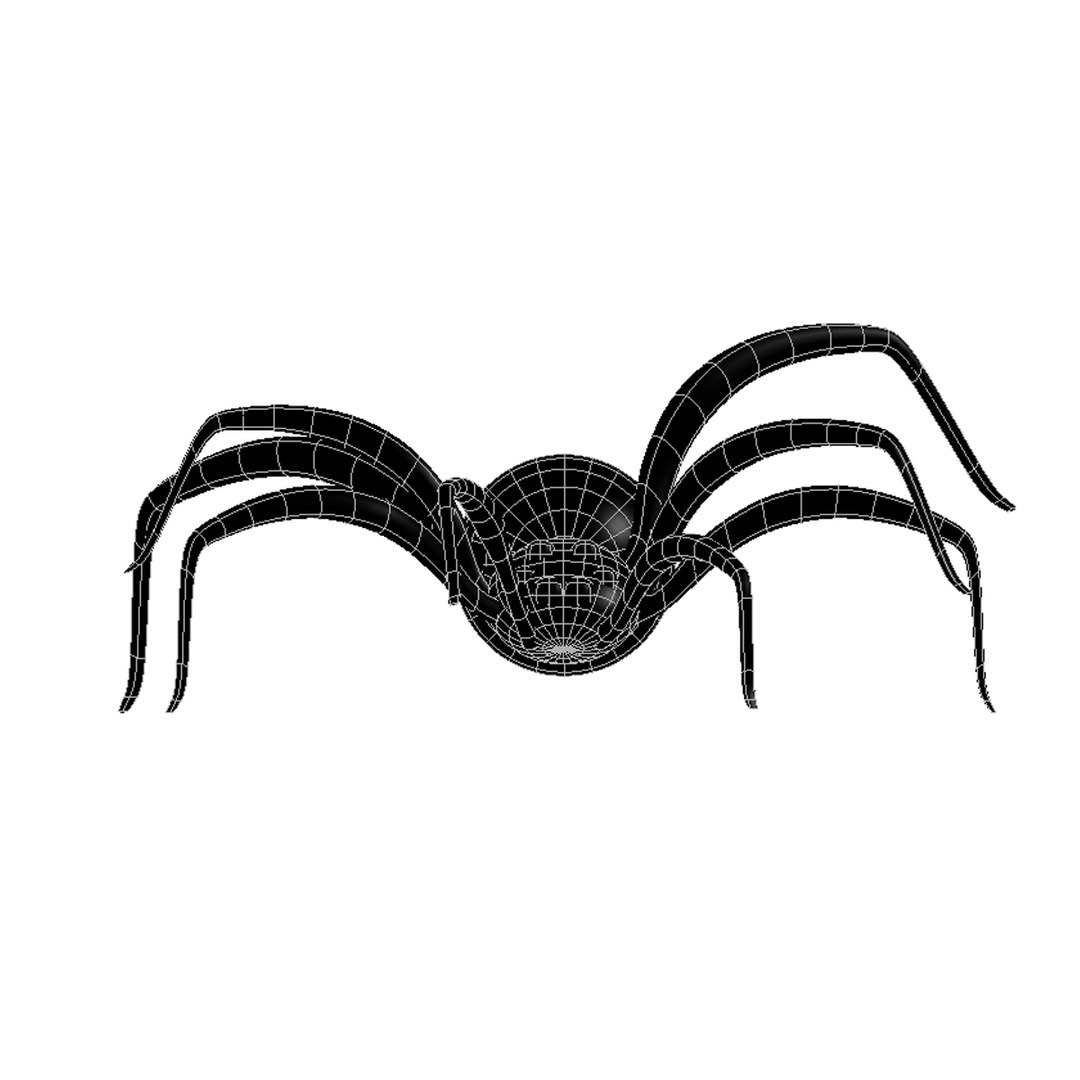 3D Spider Model - TurboSquid 584611
