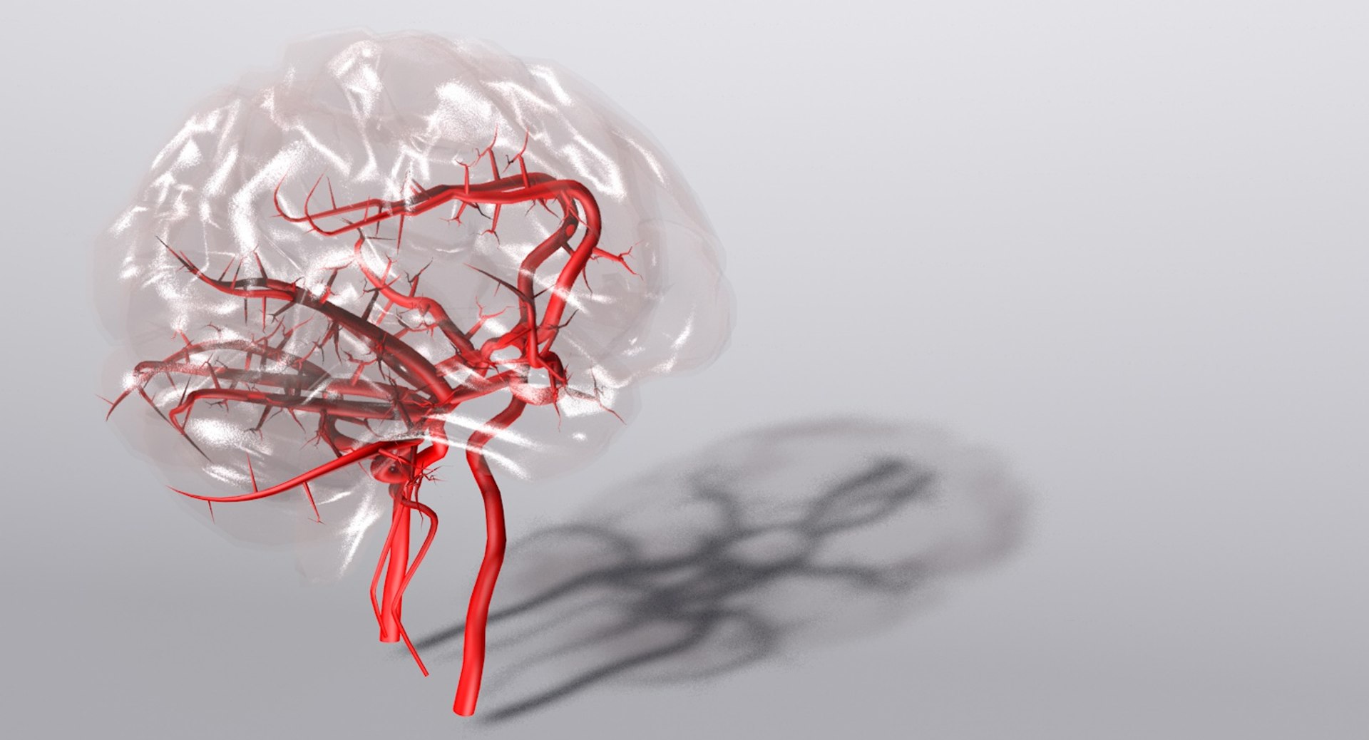 3ds Max Arteries Brain Circle Willis