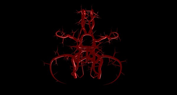 3ds max arteries brain circle willis